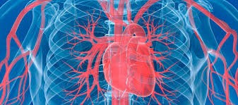 Centro Médico Inbiormed: COMO FUNCIONA LA TERAPIA DE QUELACION