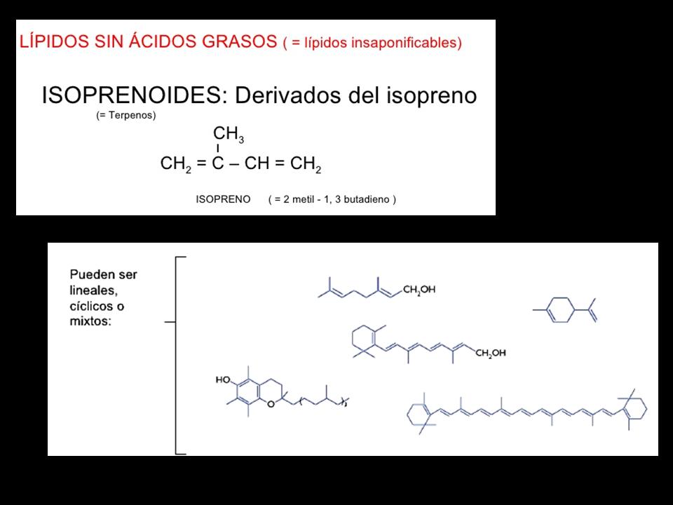 ...y la vida evolucionó: LÍPIDOS INSAPONIFICABLES- CLASIFICACIÓN ...