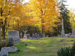 Anne's Creative Cornucopia: Umpawaug Cemetery - Photograph