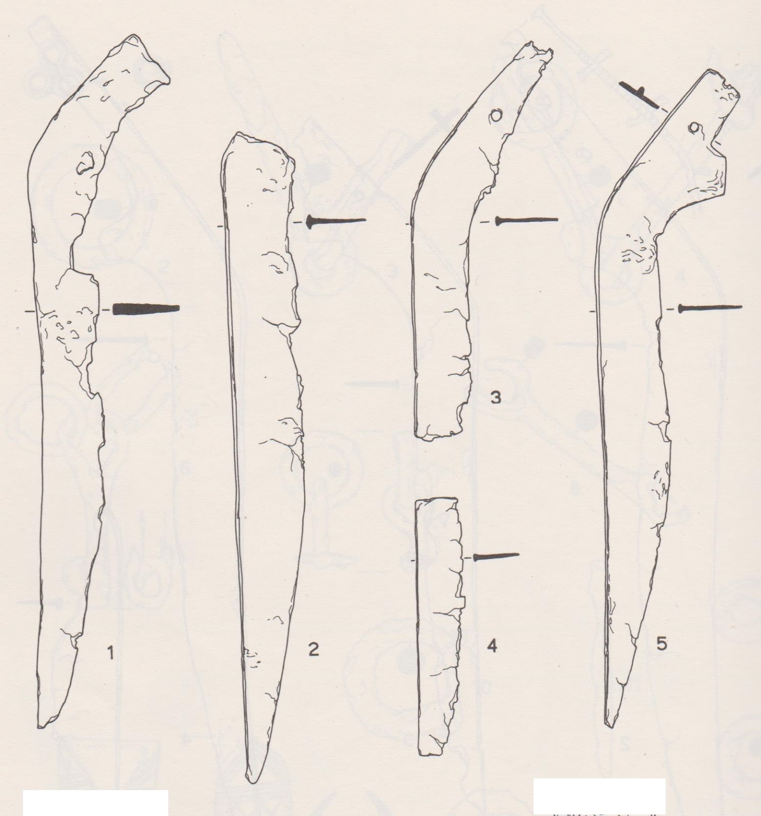 SPAROTOK - ИСТИНСКАТА БЪЛГАРСКА ИСТОРИЯ : ТРАКИТЕ, КОИТО ОСНОВАХА РИМ