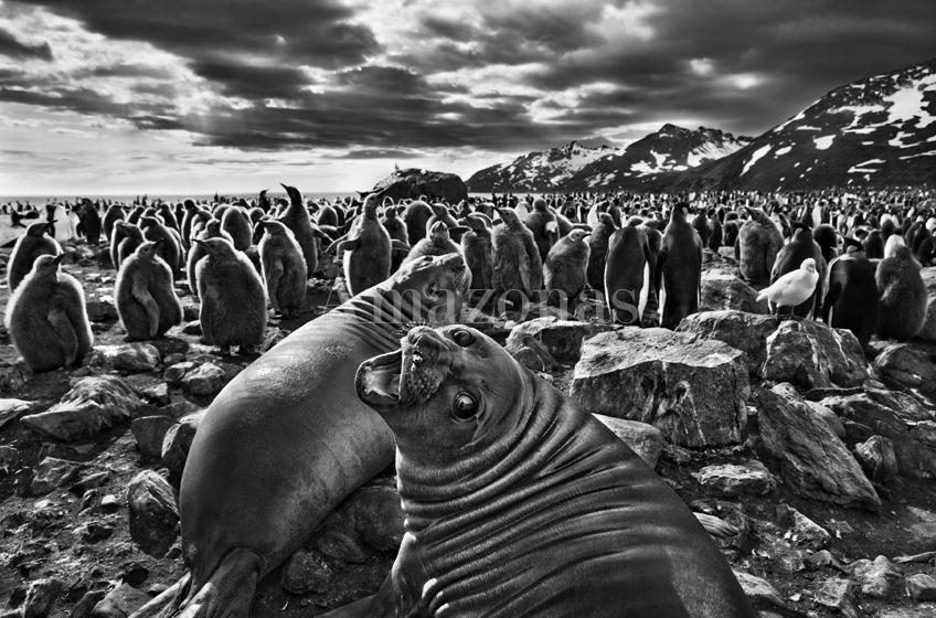 ANA DE LA SERNA: MIGRATIONS - SEBASTIAO SALGADO