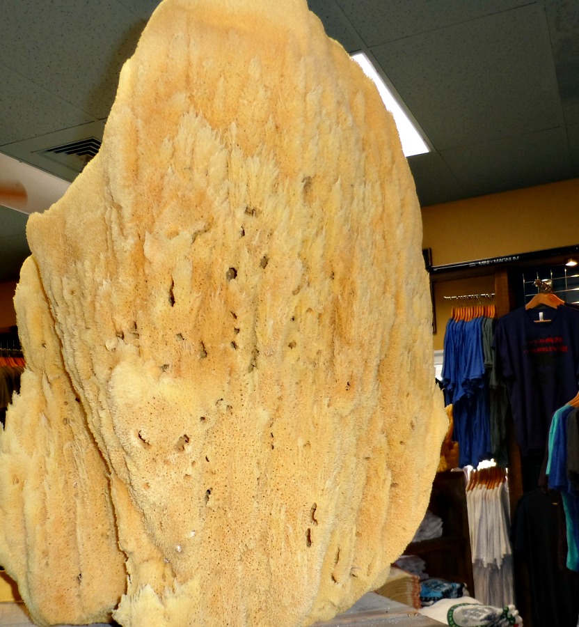 The Accidental RVers: Tarpon Springs Sponge Docks