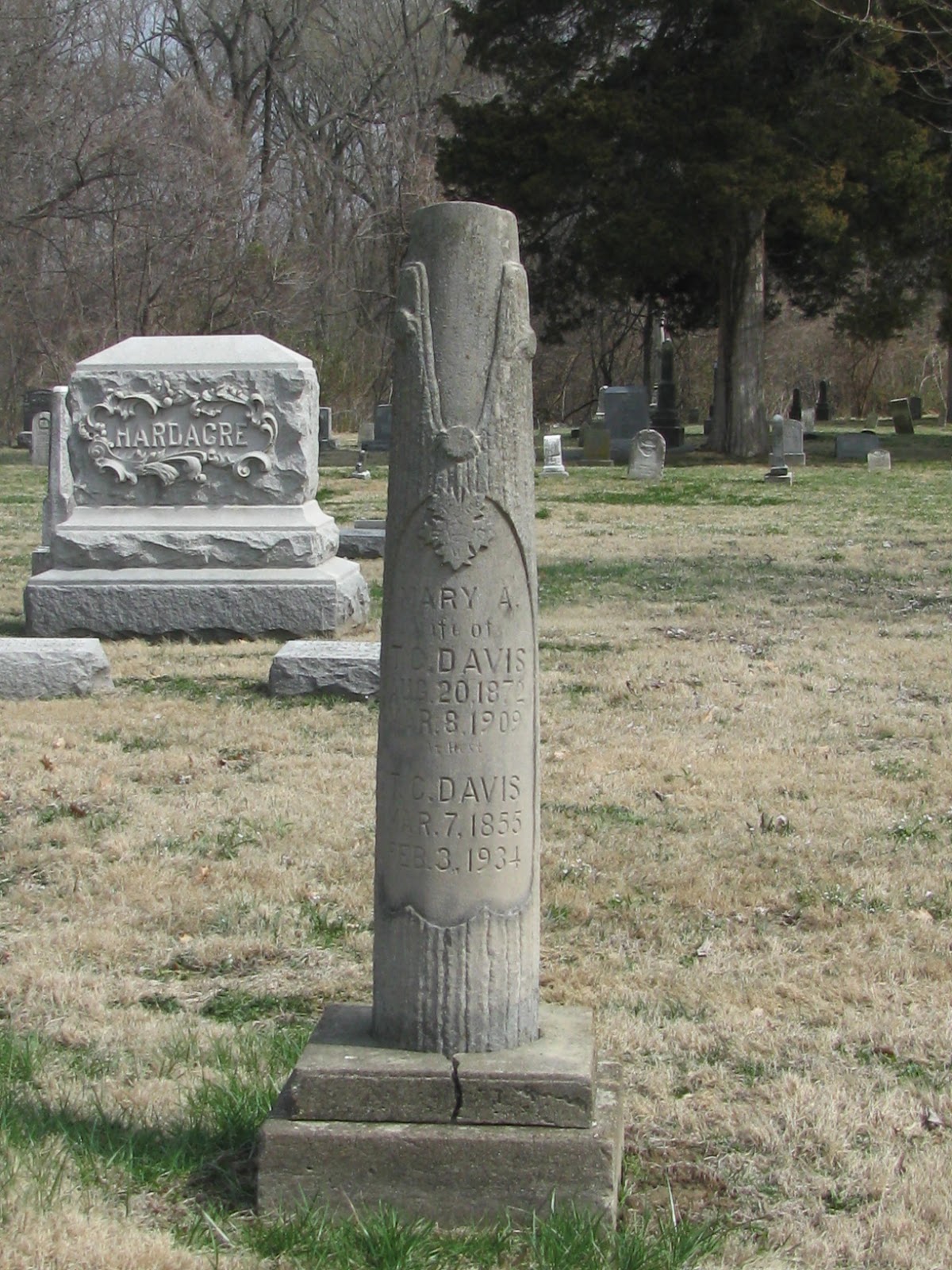 A Grave Interest: Woodmen of the World and the Tree Stone Grave Markers