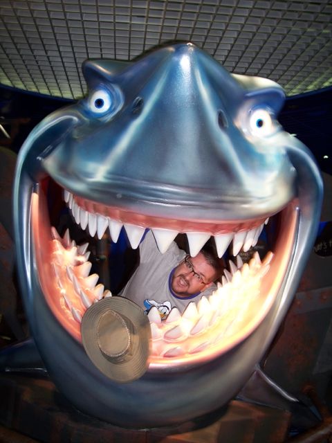 Disney Musings: Have You Ever Visited the Sharks at the Seas with Nemo ...