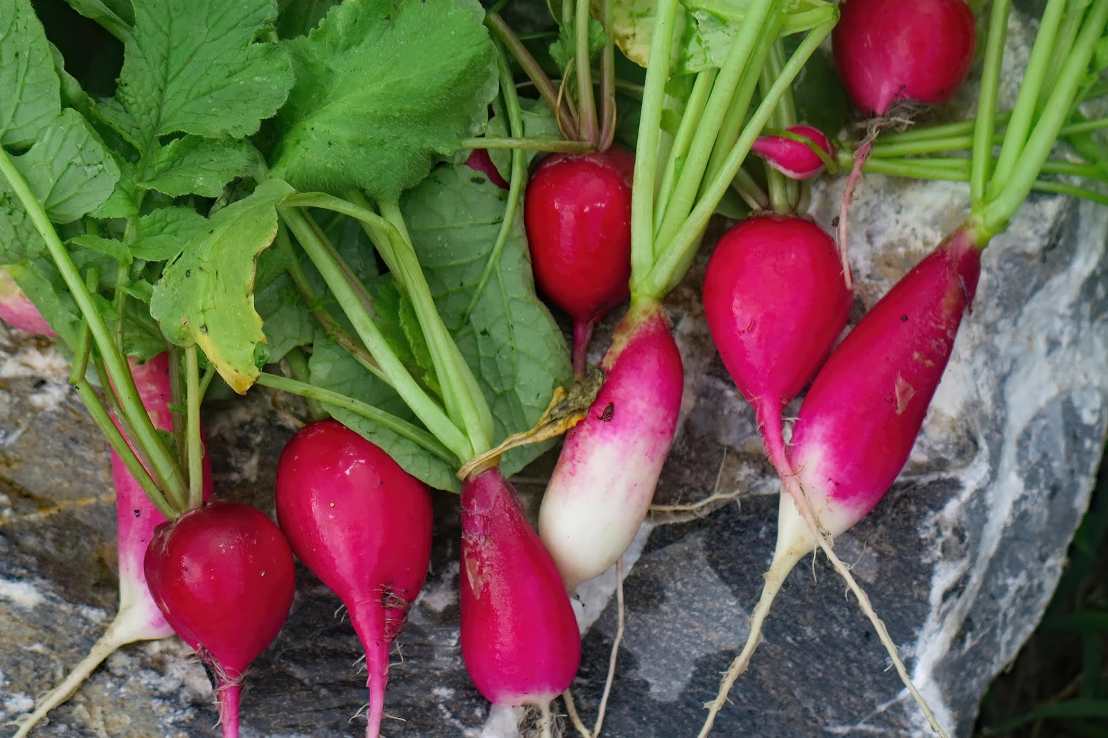 Room Without Walls: Between Dances