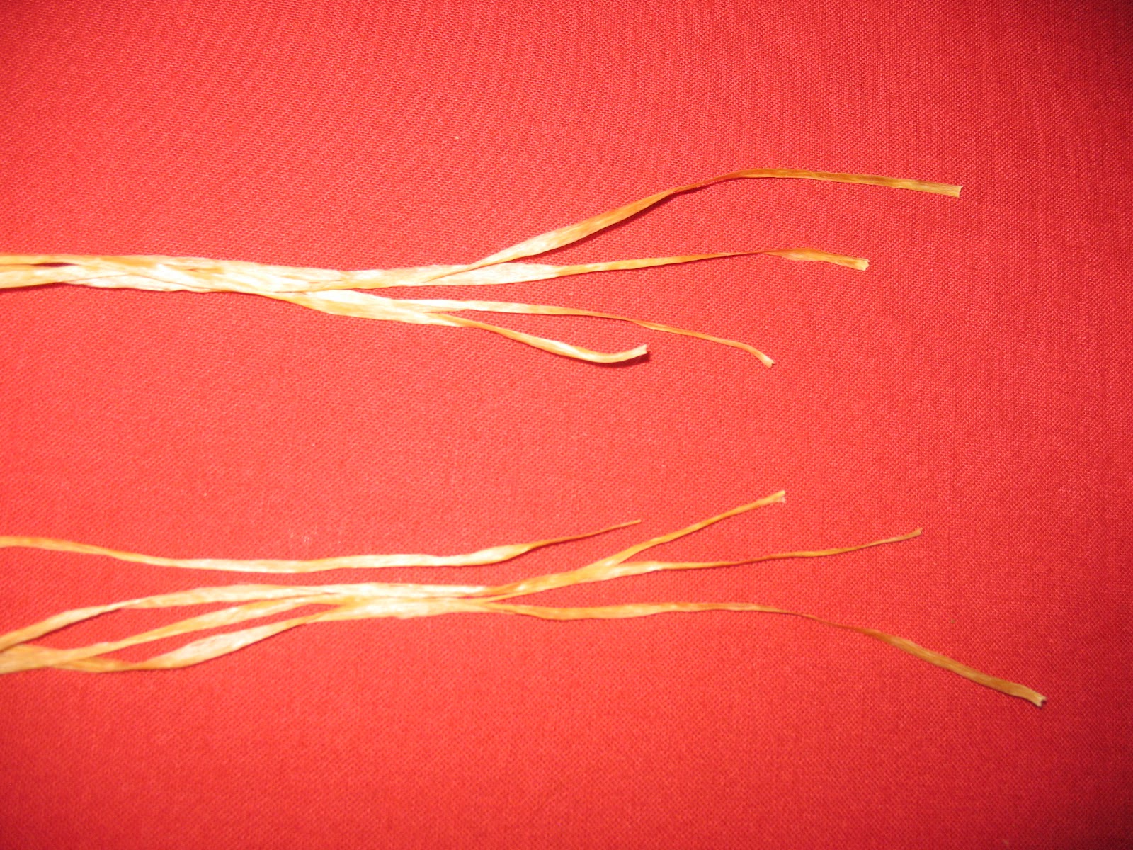 Sensible Survival: Make a Flemish Loop in a Bowstring