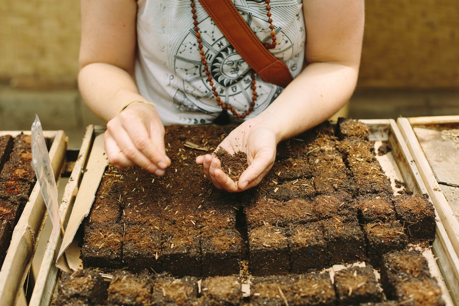 Indonesian-inspired choko curry + photos from Bali! – My Darling Lemon ...