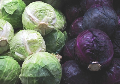 Fat Reducing Tips: HEALTH BENEFITS AND FAT REDUCING PROPERTIES OF CABBAGE