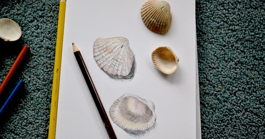 Architecture of a Mom: Seashell Sketching and Grace