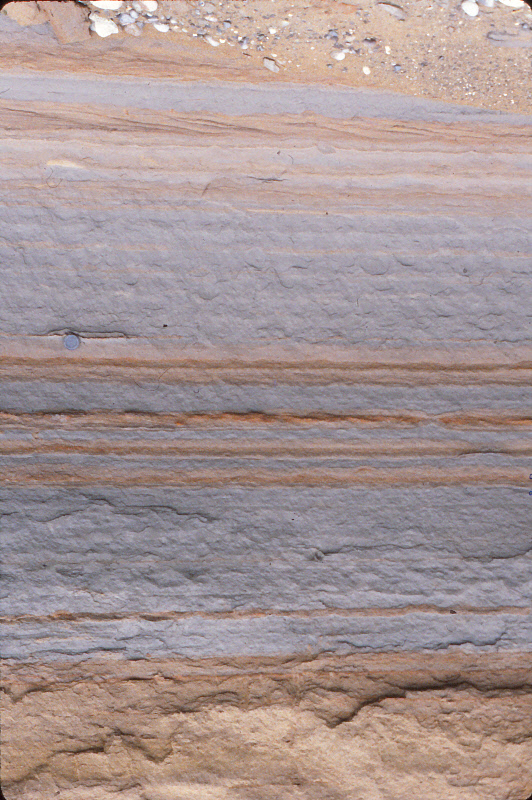 Reading the Washington Landscape: Seattle's Magnolia Bluffs