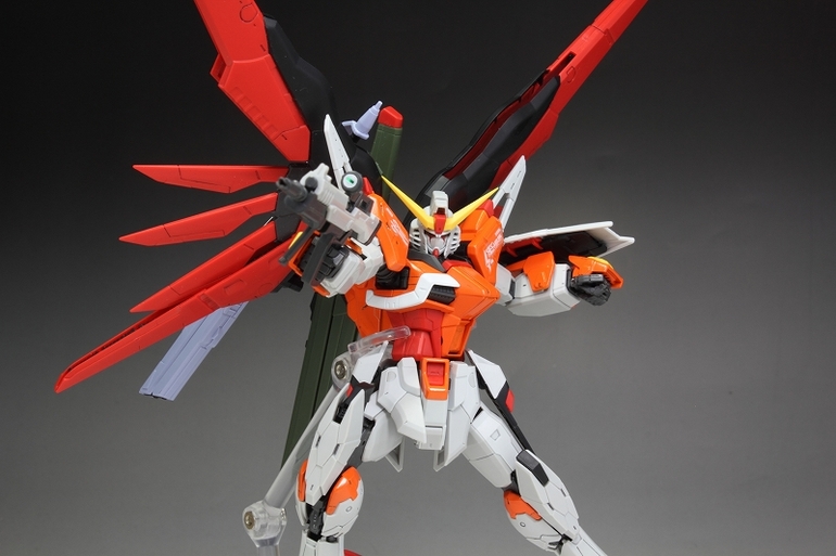 RG 1/144 Destiny Gundam Heine Westenfluss Custom Painted Build