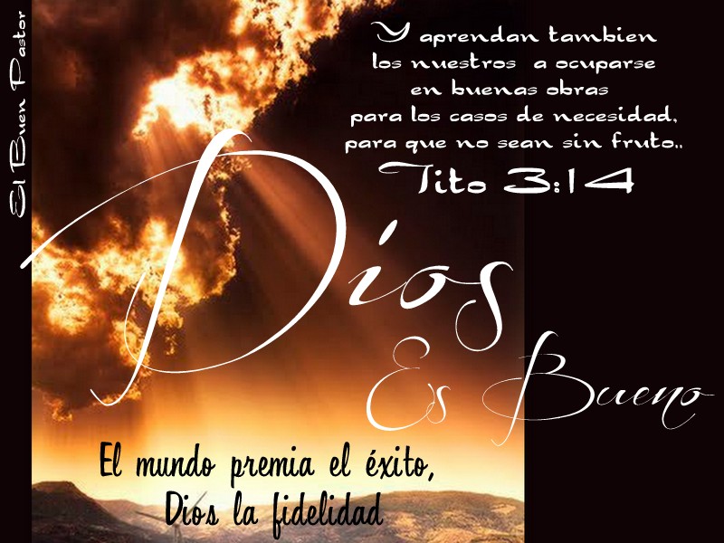 YO SOY EL BUEN PASTOR: enero 2012