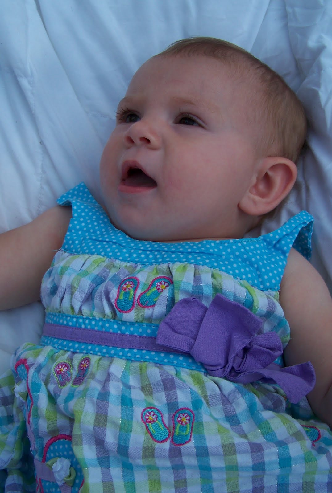 Amber Shoemaker Photography