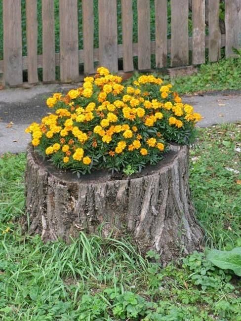 Two Men and a Little Farm: TREE STUMP FLOWERS, INSPIRATION THURSDAY