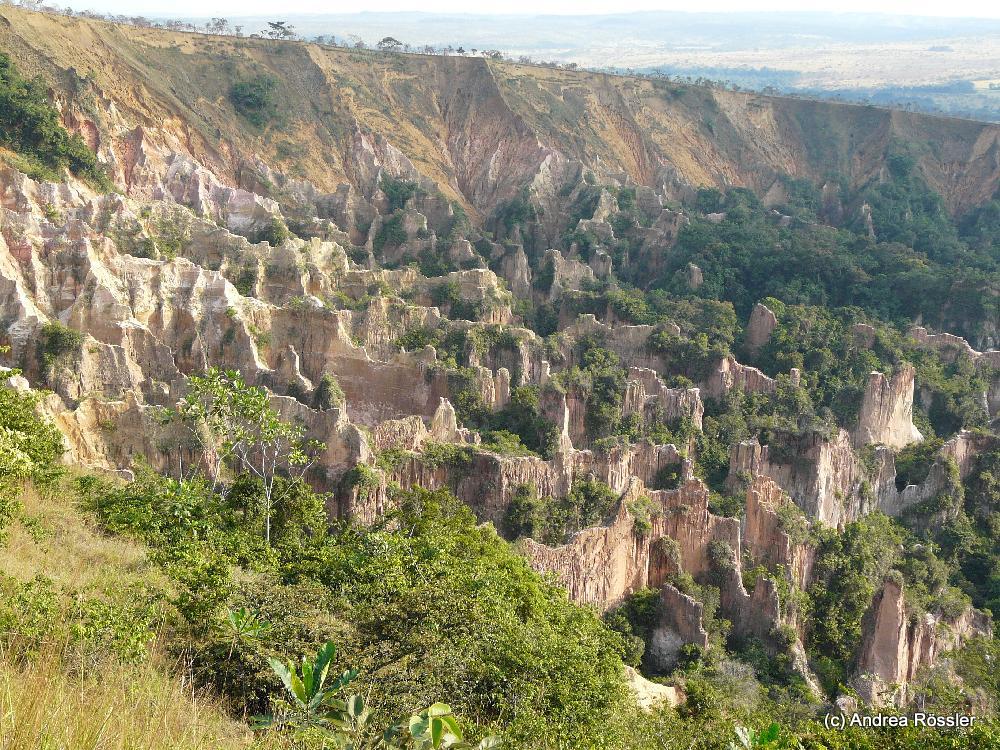 Andrea Rössler travelling the world: Movie making in Gabon