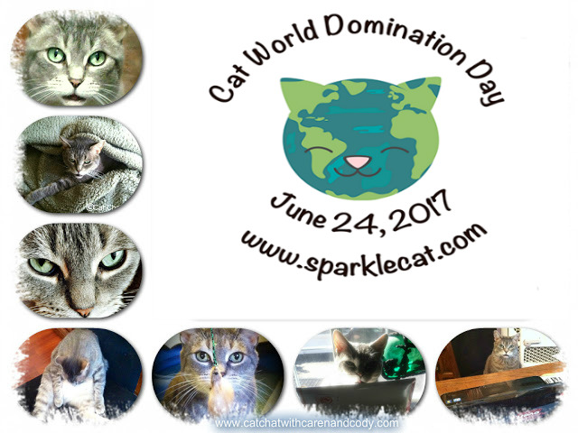 Cat and DOG Chat With Caren: Cat World Domination Day and My Pawrent's ...