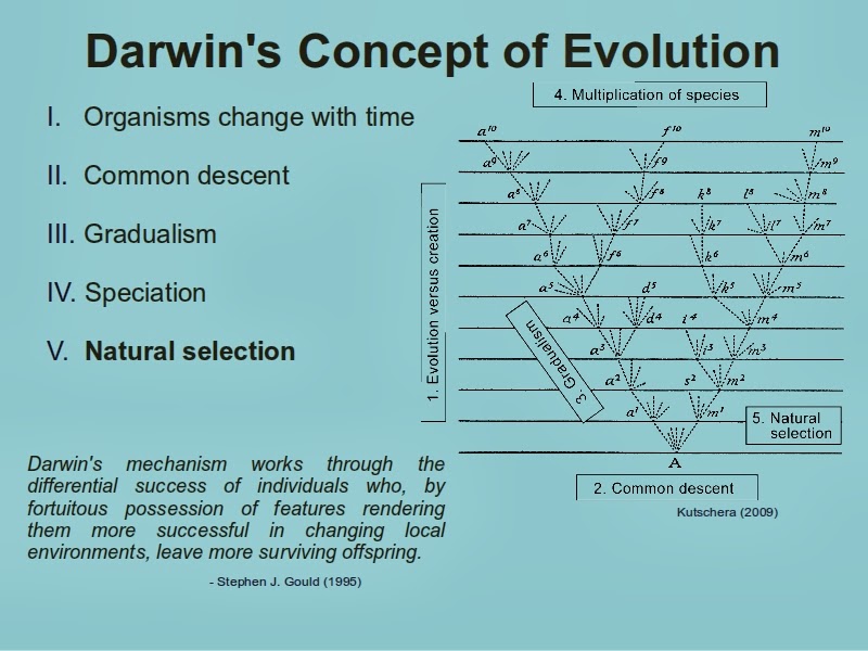Science, Reason and Logic Rule: Evolution