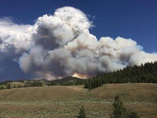 The Huckleberry Hiker: Fire Danger Has Increased to Very High - Two ...