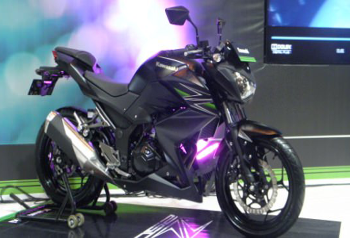 Kawasaki Z250 Fierce and Aggressive | The New Autocar