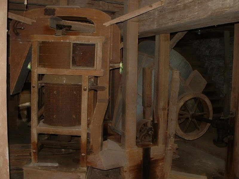 Tangled Roots and Trees: The Zirkle Mill