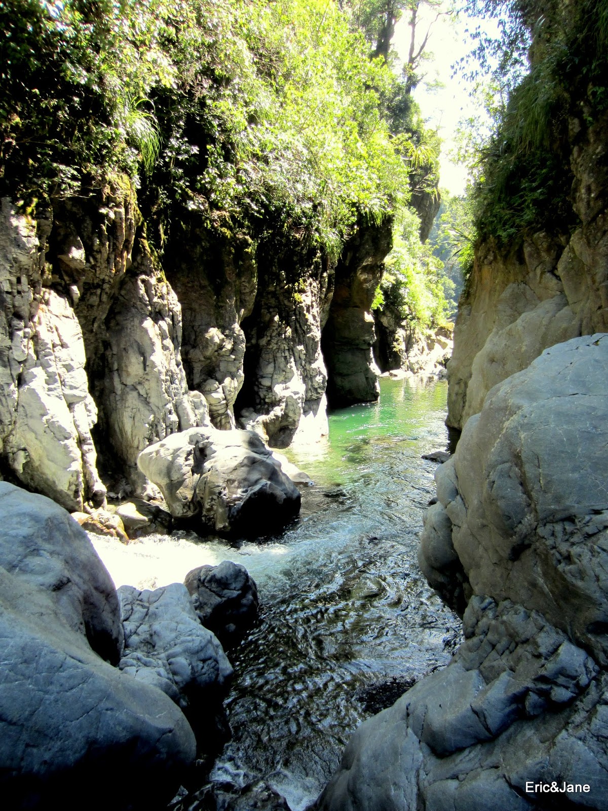 Oroua River & Iron Gate Gorge Walk,Ruahine Forest Park