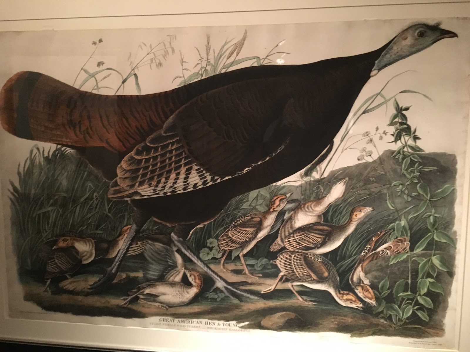 The Wandering Soldier : John James Audubon State Park and Henderson ...