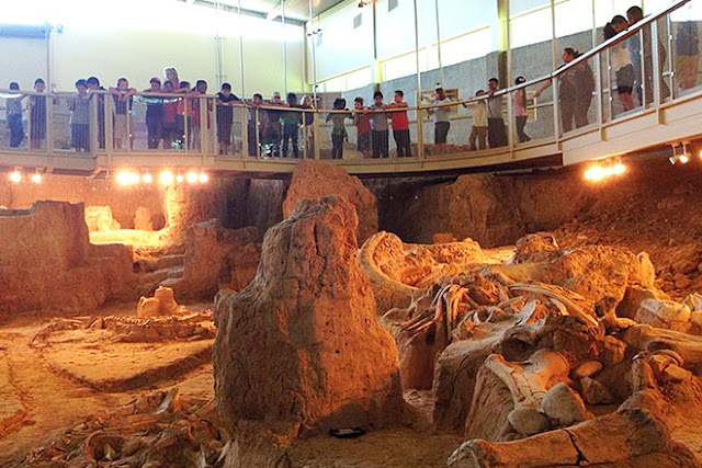 Edge of Insanity: 4 Things You Must Do While in Waco, Texas