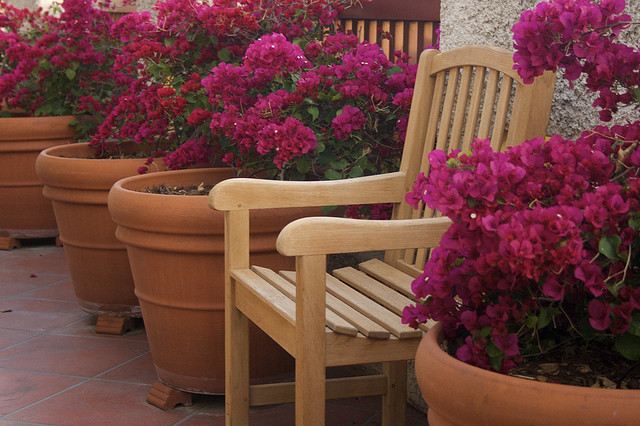 The Mission Inn is indeed a beautiful and scenic place