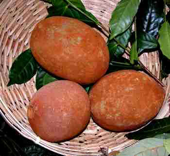 EDUCAÇÃO e CULTURA em SAÚDE....: BENEFÍCIOS do Cupuaçú....