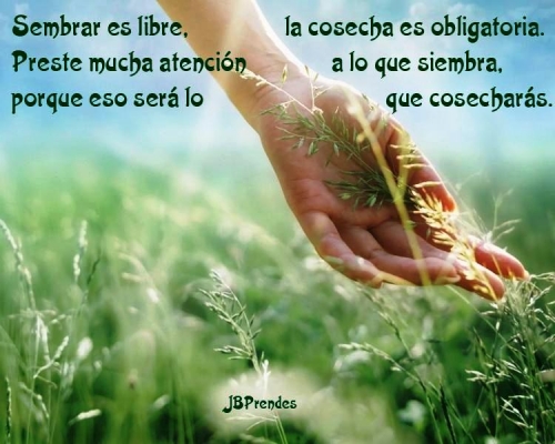 Juan Manuel Cuba Soto: Siembra y Cosecha