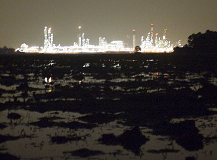 wild shores of singapore: A glimpse of Bukom after the fire