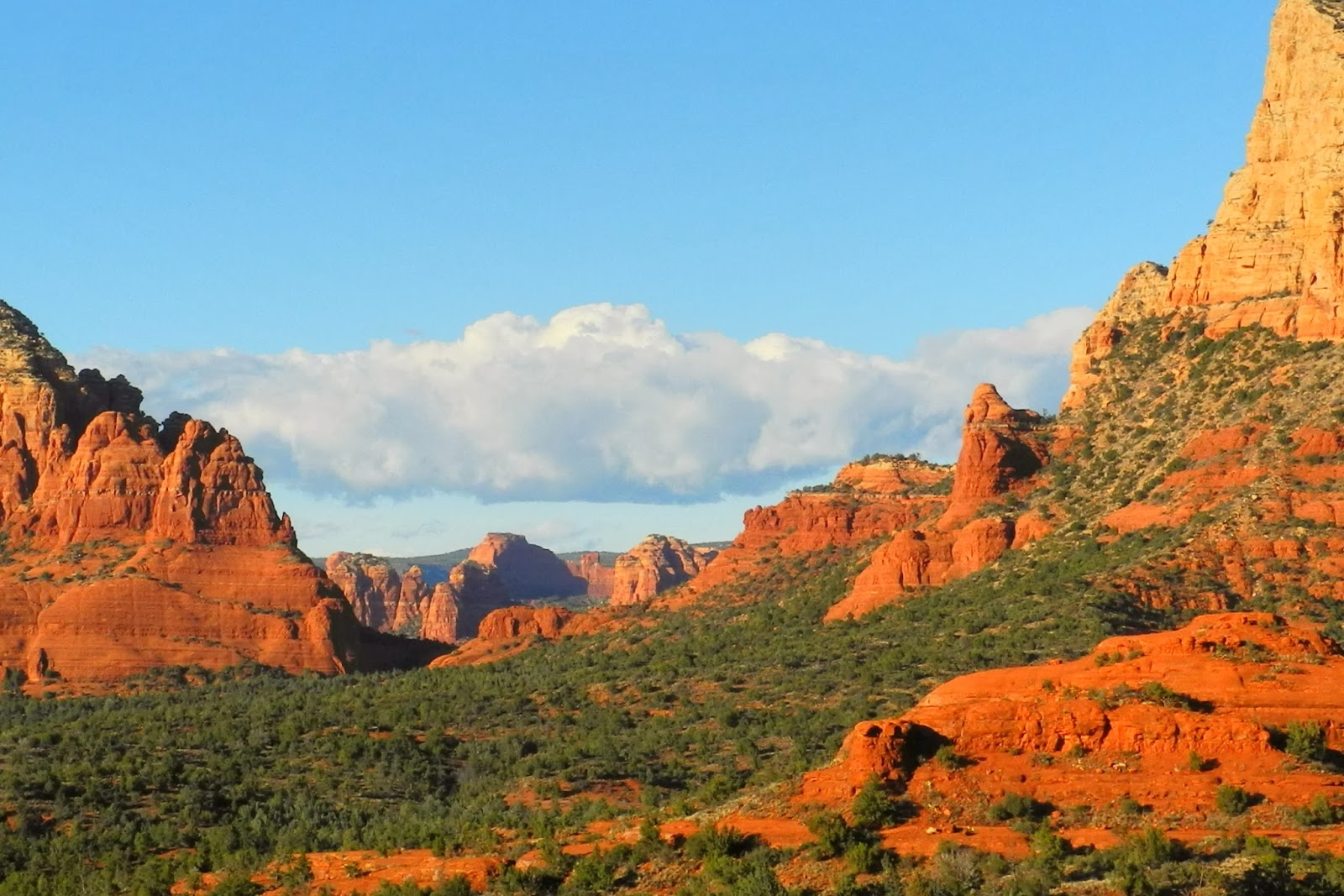 Sherrie loves color!: Mountains from Washington to Arizona