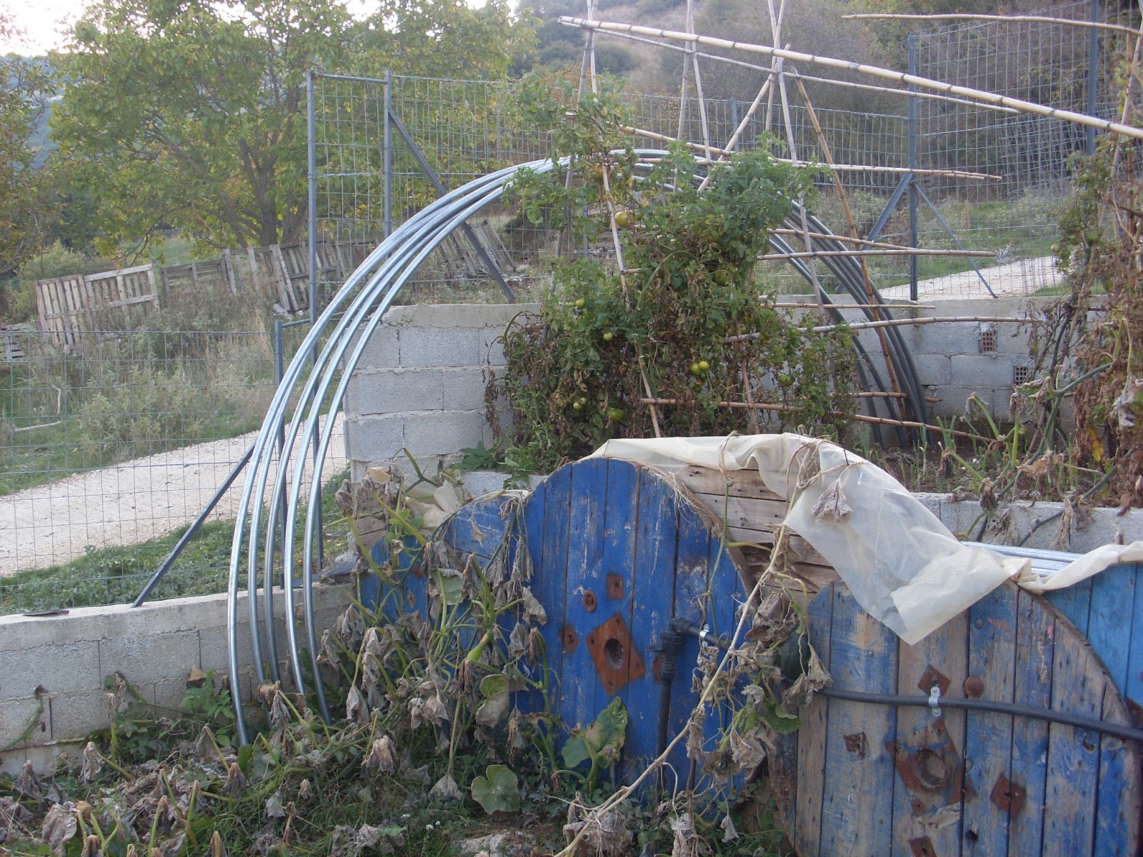 Αγροσελίδα: Κατασκευή θερμοκηπίου
