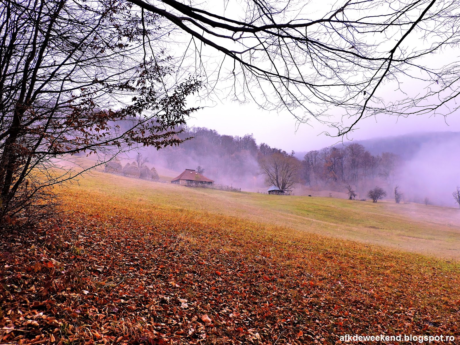Cozia National Parc, Romania [1600x1200][OC] : r/ruralporn