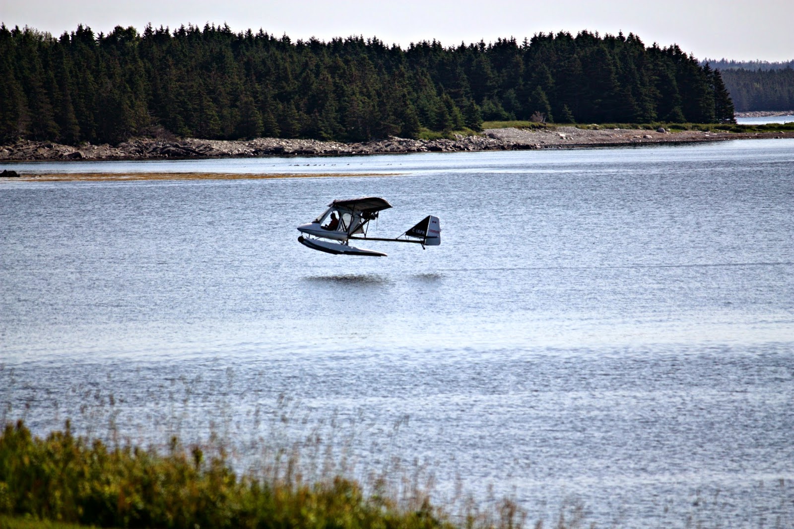 Carol Steel: Spectrum Beaver SS Ultralight, Big Tancook Island, NS