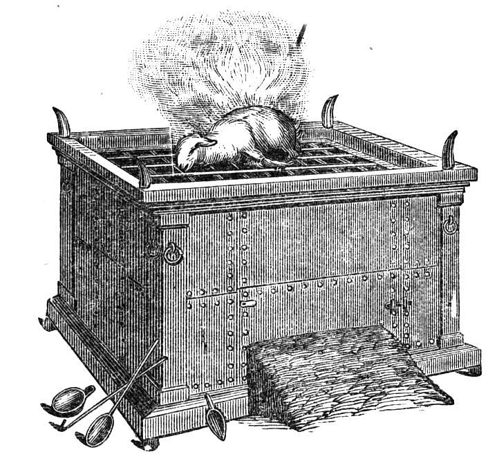 Dads Teach the Bible: Burnt