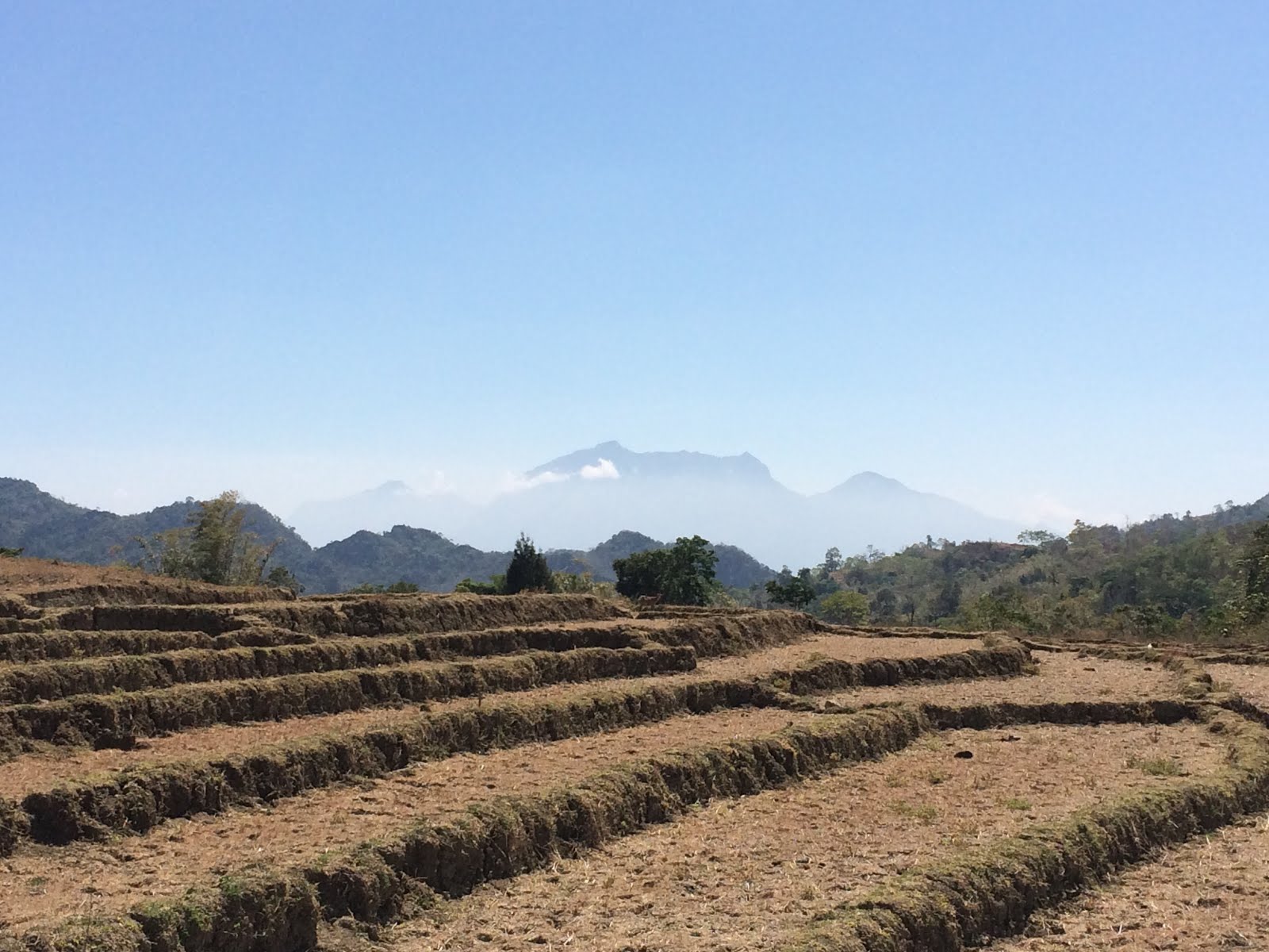 Dr Tani Brown : Ossu, Timor-Leste