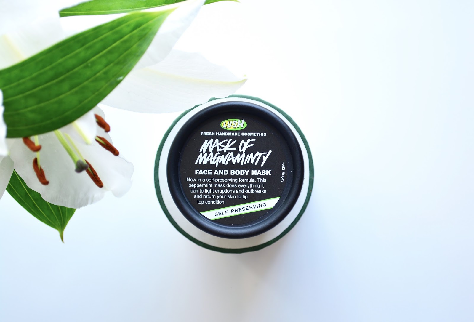 Lush Mask of Magnaminty | Full Review | Miss Sunshine and Sparkle