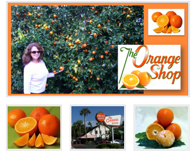 Jasmere: $19 + Shipping for 20 lbs of Sweet Florida Citrus Delivered to ...