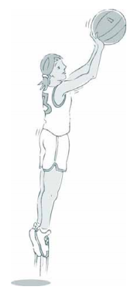 BASKETBALL JUMP SHOT: The Biomechanical Principles : In the Basketball ...