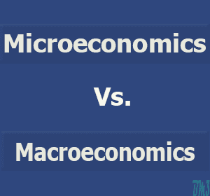 Difference Between Micro and Macro Economics - Bm3schools: Business ...