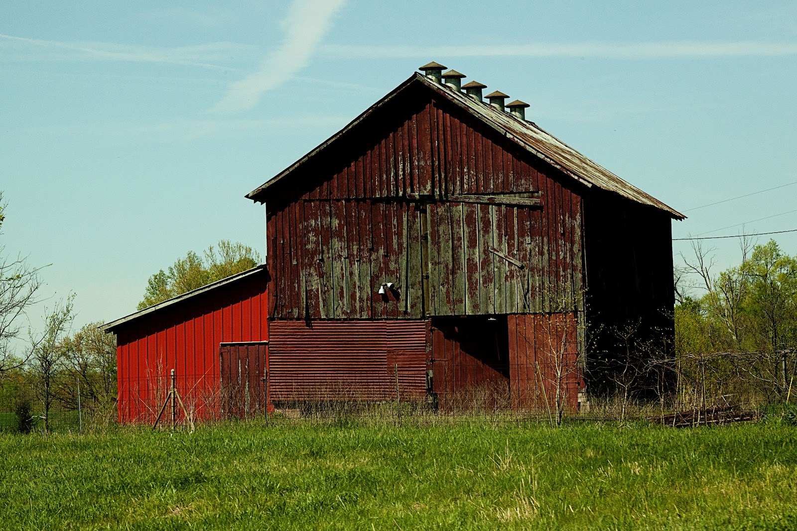 Little House Became a Home: My Old Kentucky... Barns