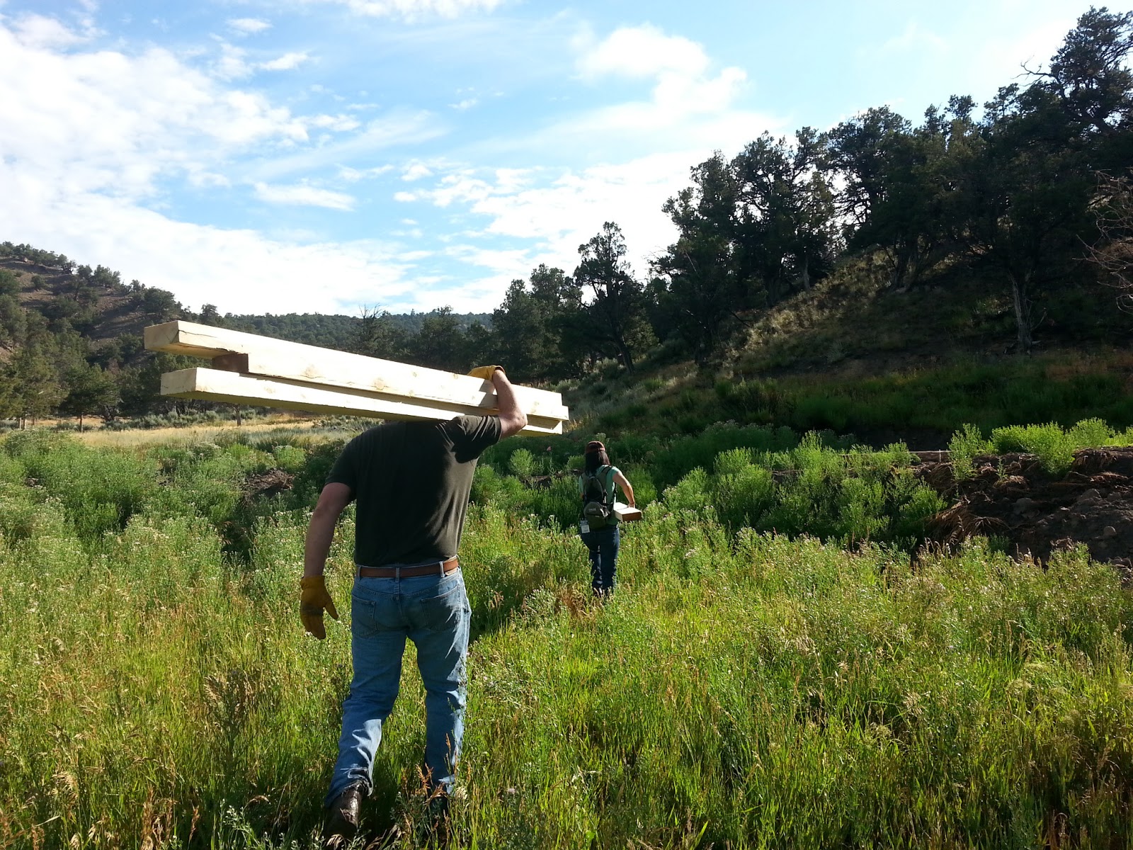 BALLS TO THE WALL FISHING: HAYMEADOW BRIDGE WORK BEGINS...