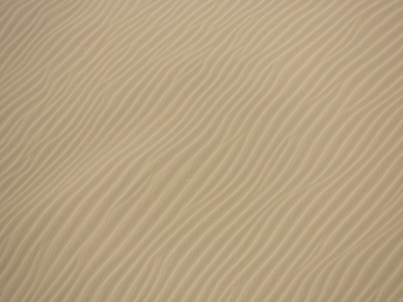 mnkcusa: Yuma AZ, Imperial Sand Dunes