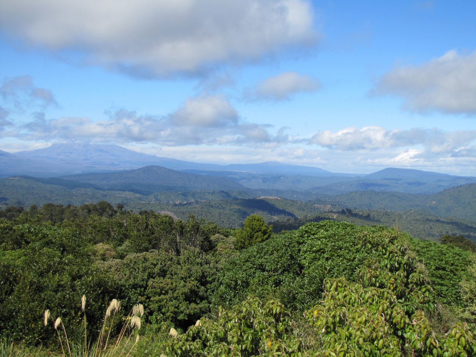 photographing New Zealand: Kaimanawa Ranges