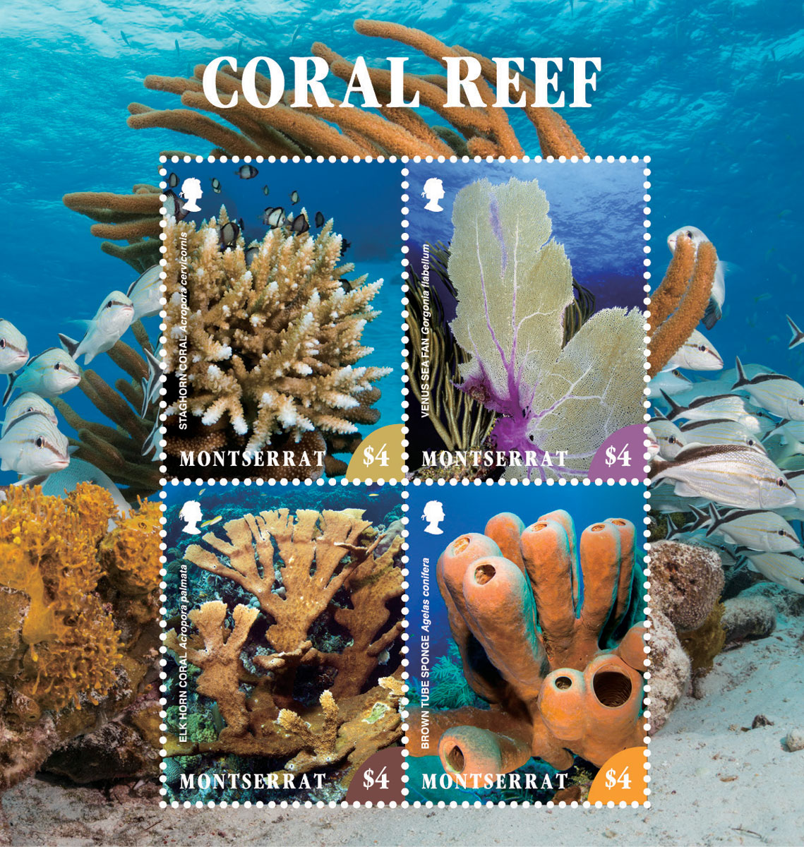 Natural Science Stamps: gennaio 2018