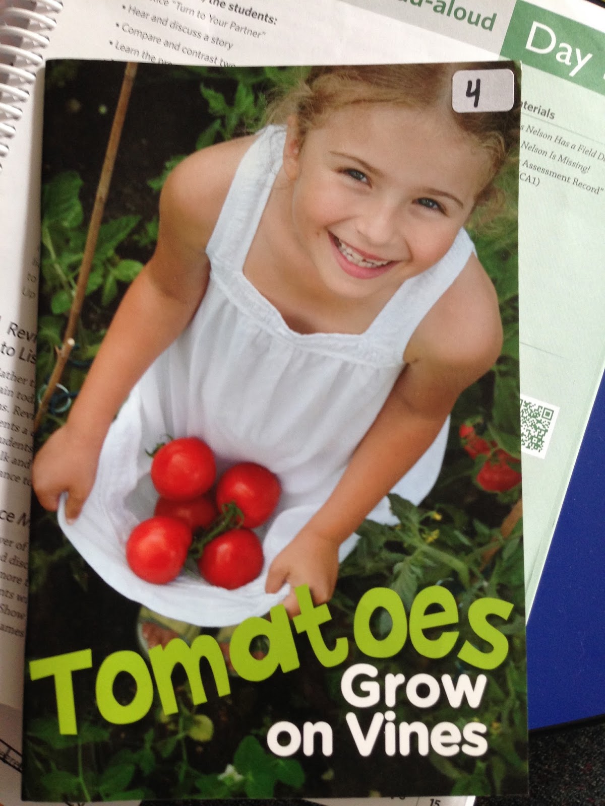LINCS Farm to School Project: Tomatoes everywhere!