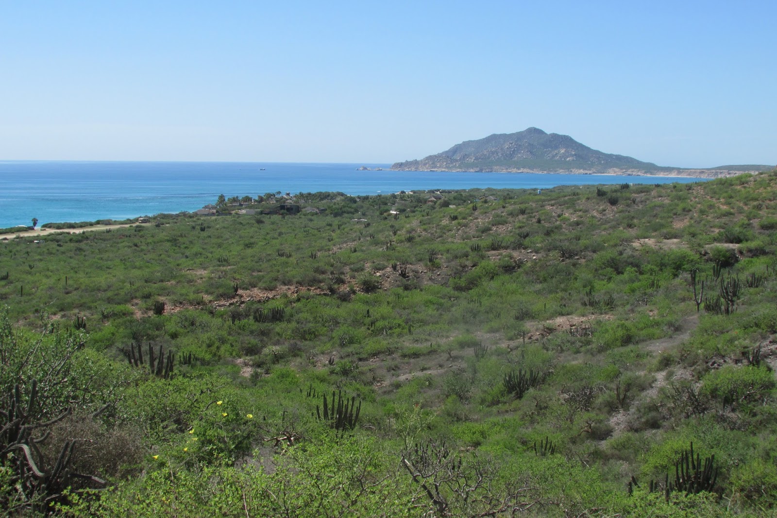 SolECiel and MyShittyBackpack hemp/cotton daypacks: Cabo Pulmo national ...