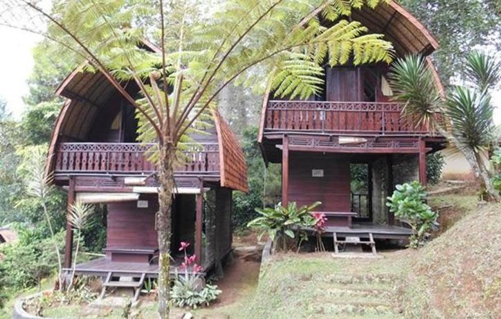 Cikole Jayagiri Resort - Wisata Kota Lembang