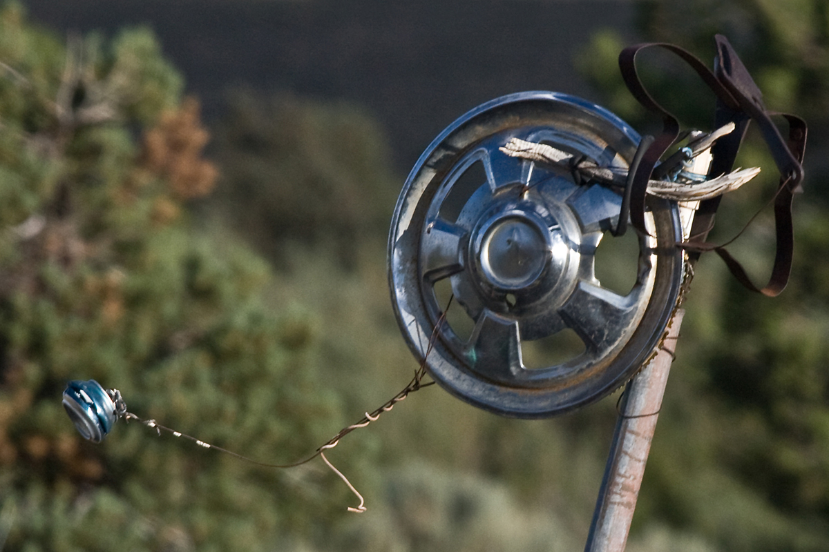 Images and Reflections by Tom Debley: The Whimsical 'Found Art' of ...